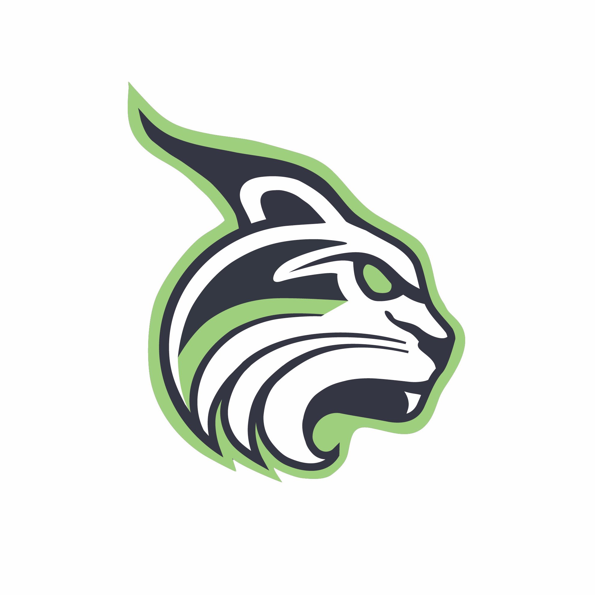 Head Men’s Basketball Coach – Lesley University - HoopDirt
