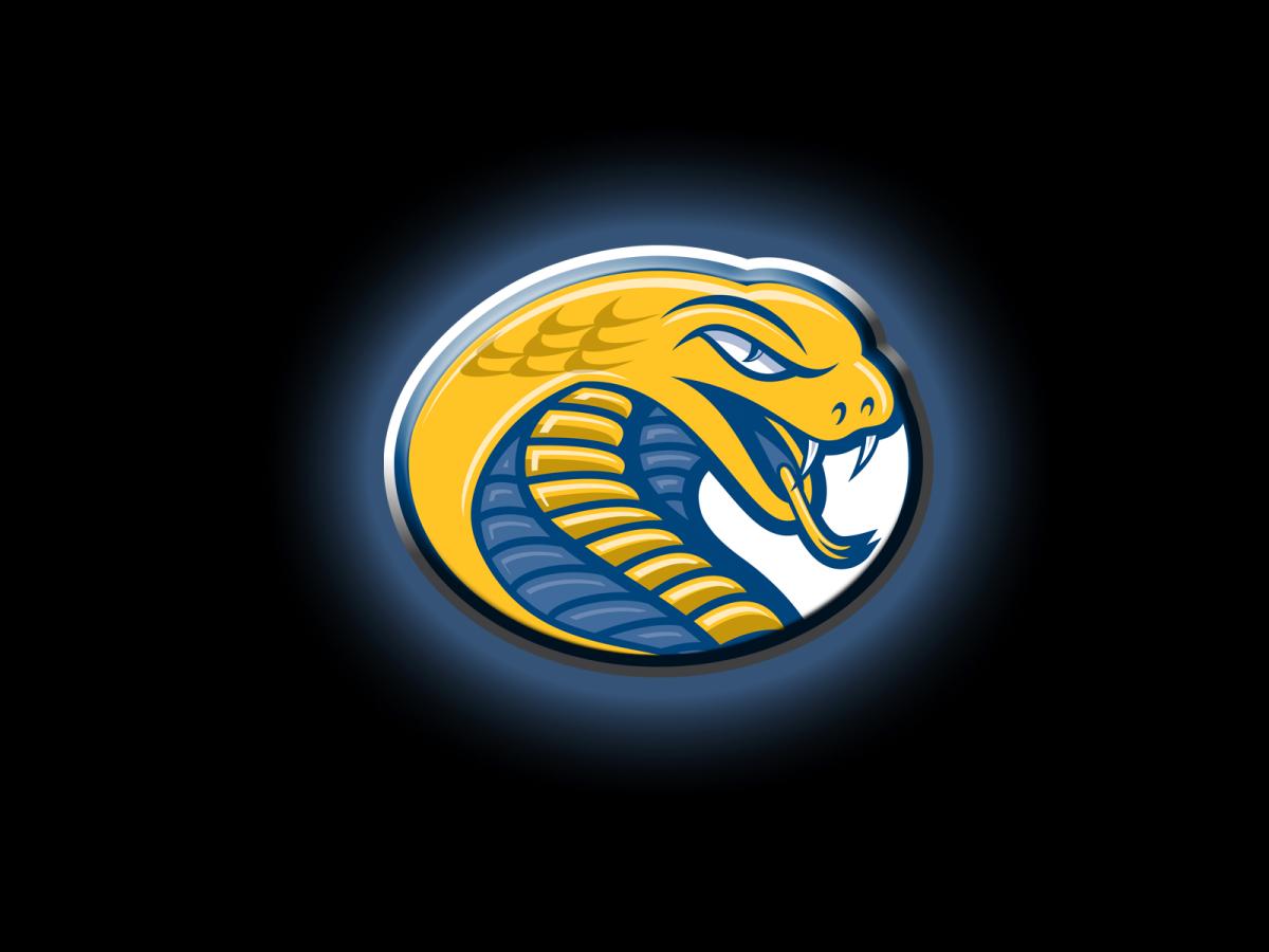 Head Men’s Basketball Coach – Coker College - HoopDirt