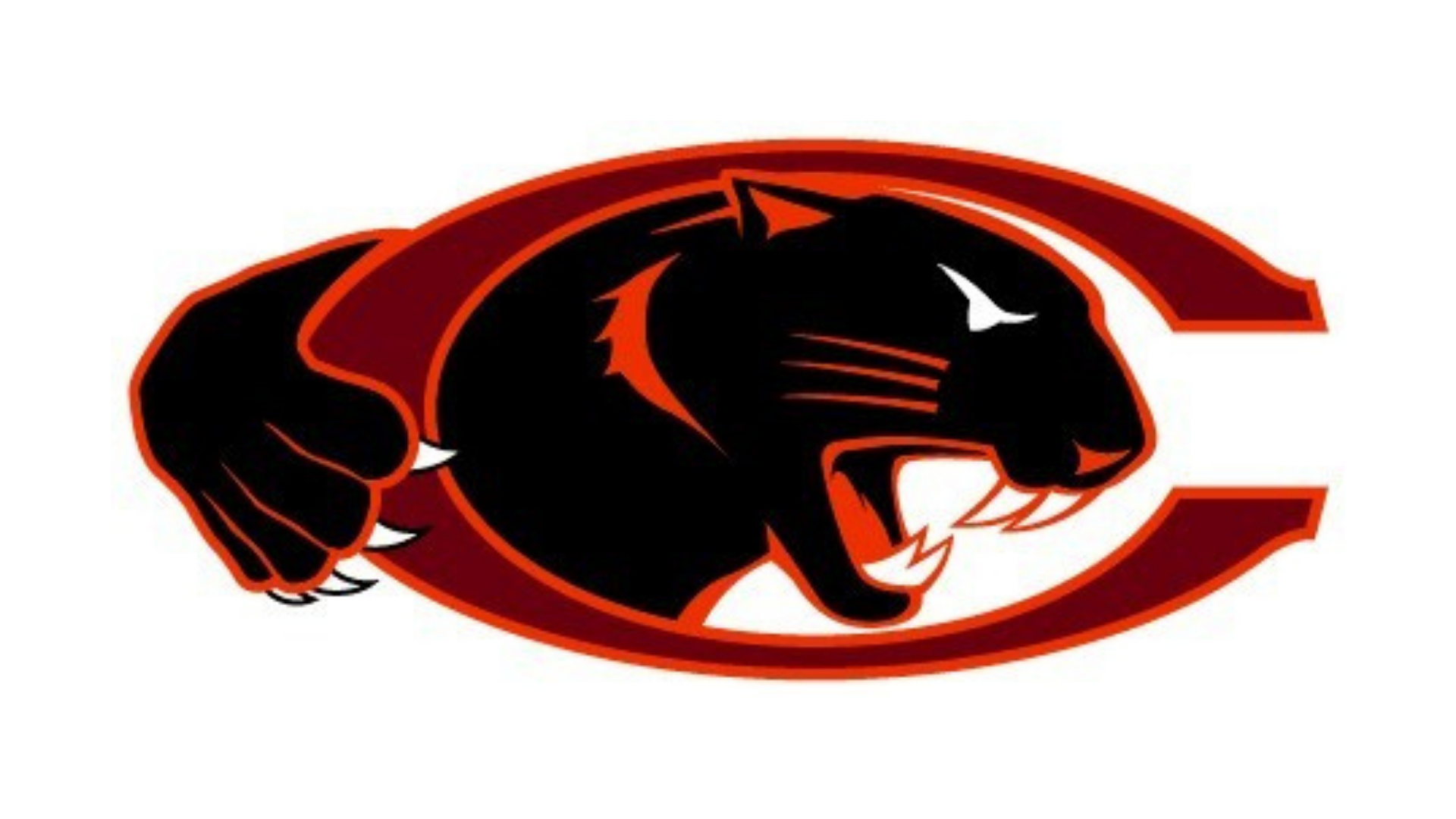 Jackson released as Head Basketball Coach at D2 Claflin University ...