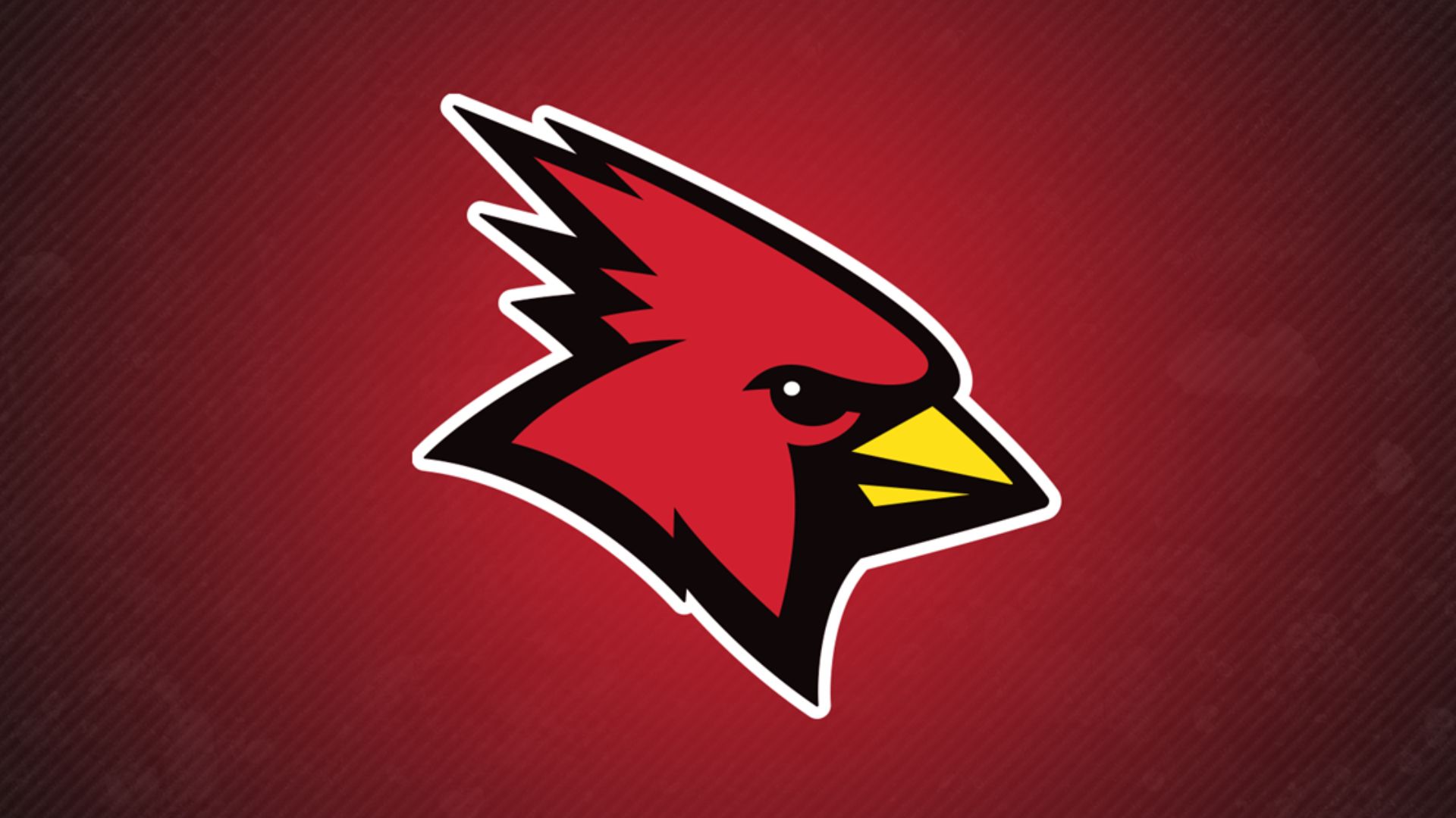 Arnold named Assistant Basketball Coach at SUNY Plattsburgh - HoopDirt