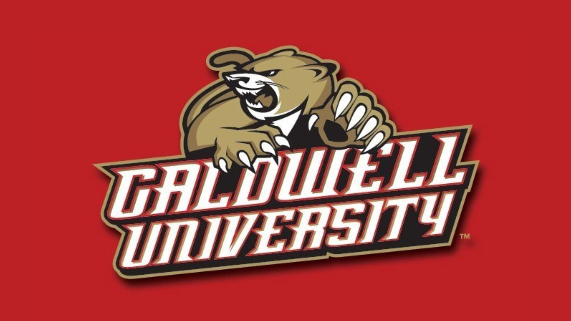 Johnson promoted to Head Coach at Caldwell University - HoopDirt
