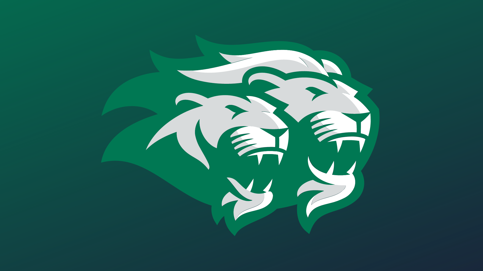 OFFICIAL: Boone named Head Coach at D3 Greensboro College - HoopDirt