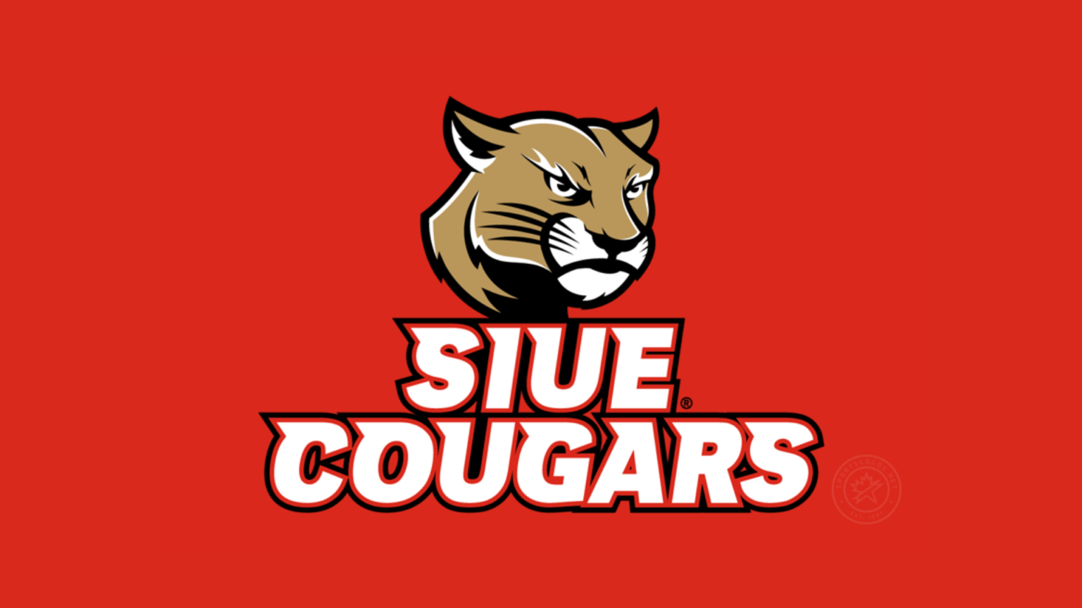 Penny Collins resigns as Head Basketball Coach at Tennessee State ...