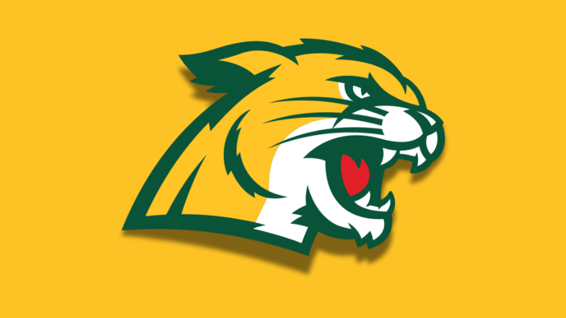 Northern Michigan Basketball Staff Update - BVM Sports