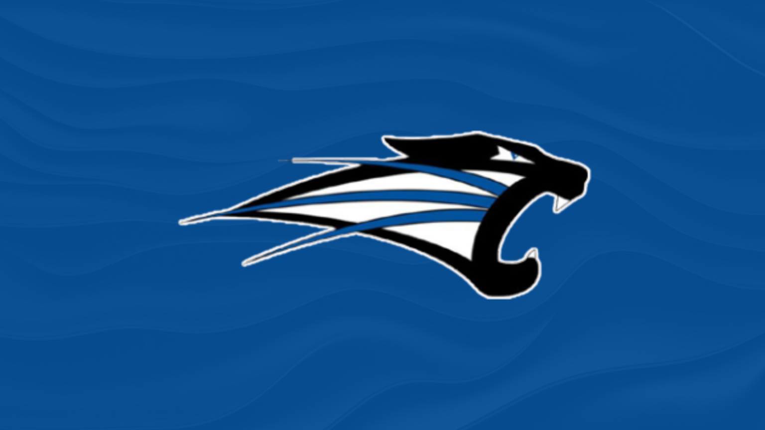 NAIA DIRT: Keiser U HC Dante Calabria heads to Italy with Larry Brown ...